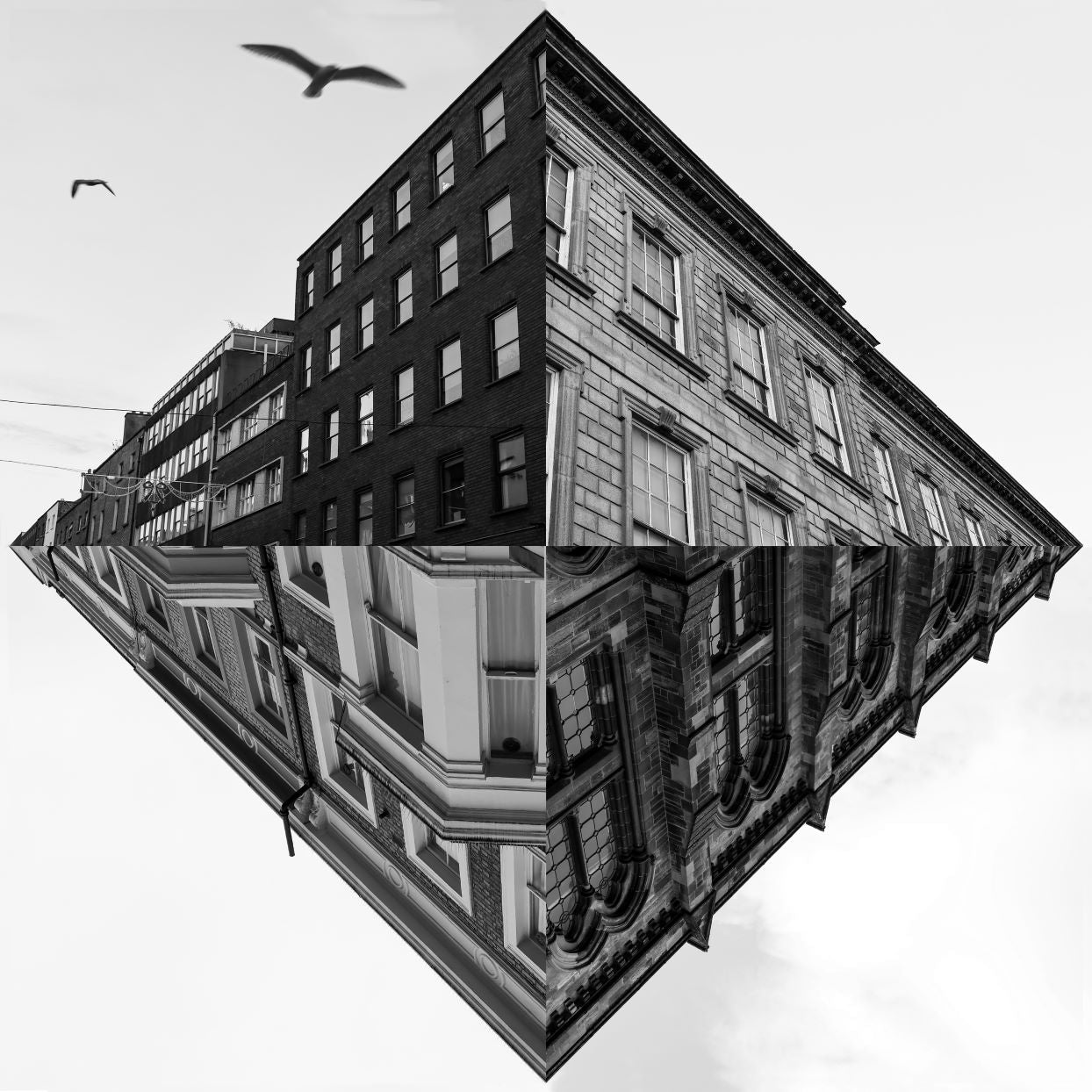 Isi Parente | Photography + Digital Prints | Vantage Art